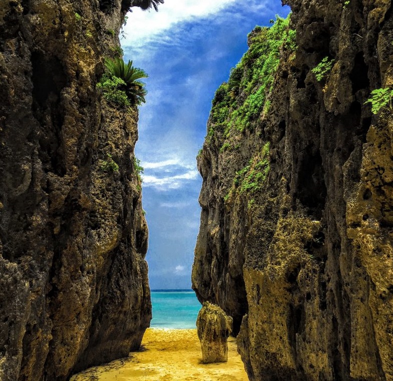 warumi | 沖縄リピート