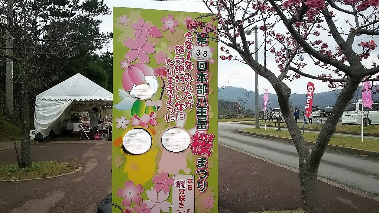 DSC_0647-1 | 沖縄リピート