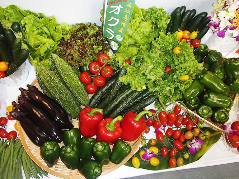 「おきなわ花と食のフェスティバル2025」奥武山公園にて1/18・19開催！ | 沖縄リピート沖縄リピート